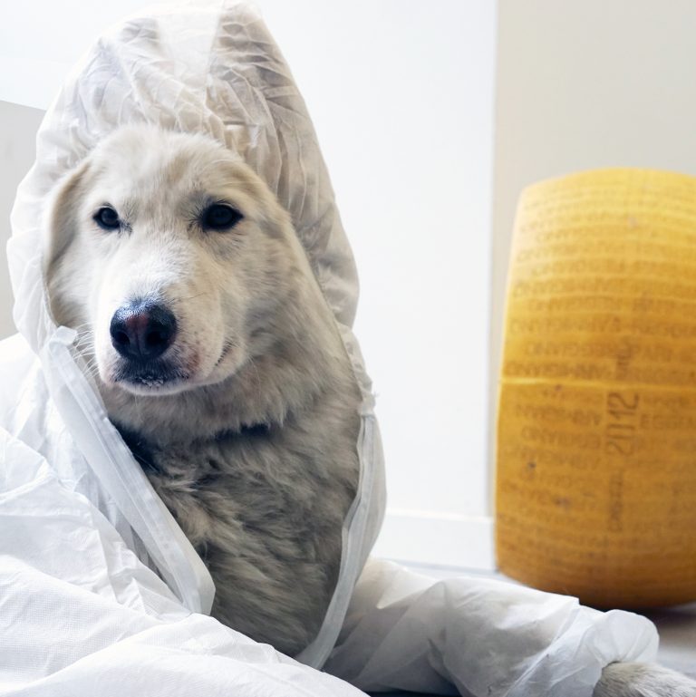 Divle Obruk Peyniri- all but average - formaggiastic